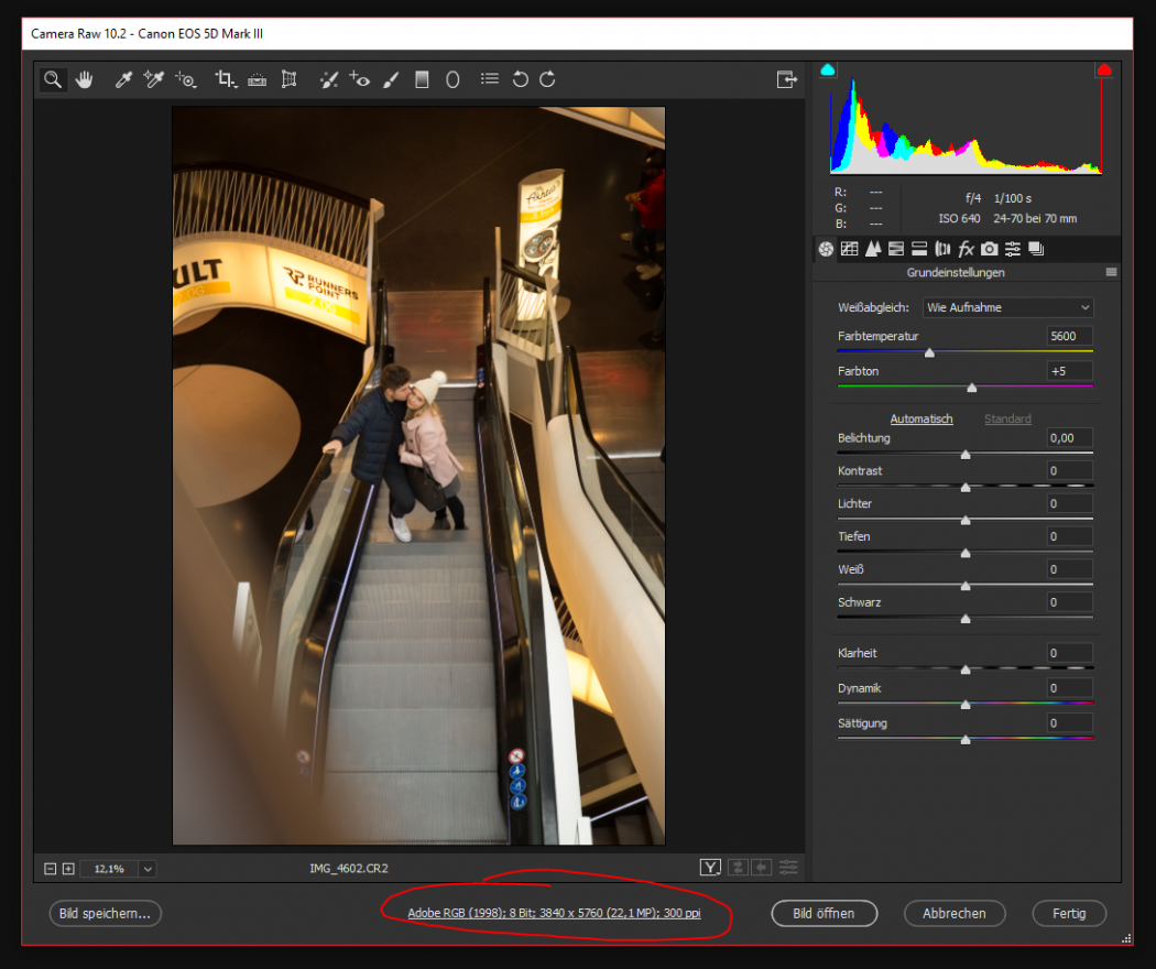 Adobe Camera Raw Profile – Collateral Eyes